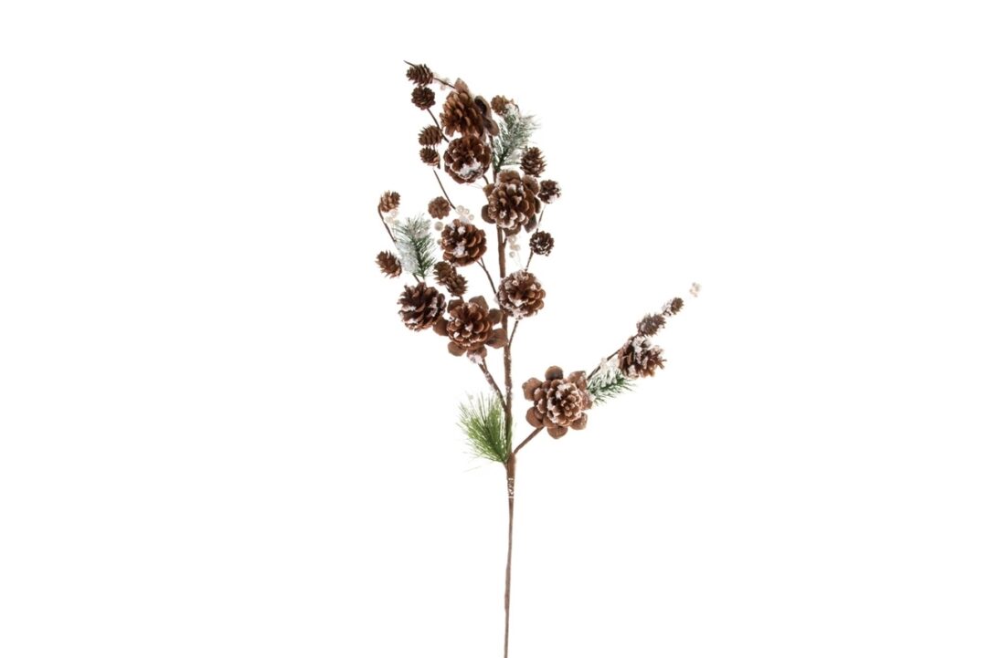 Rama Natural 100Cm - Comprar Online - Brico Rondón